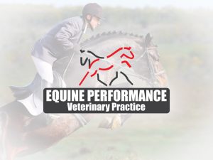 Equine Performance Veterinary Practice - Veterinarian for Sport Horses